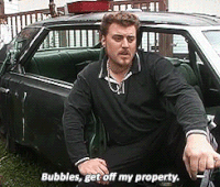 Habe GIFs - Get the best gif on GIFER