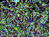 Pollock GIFs - Get the best gif on GIFER