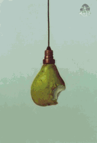 Pear GIFs - Get the best gif on GIFER