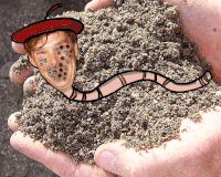 Earthworm GIFs - Get the best gif on GIFER