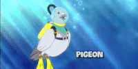 Paloma GIFs - Get the best gif on GIFER