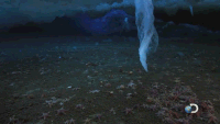 Sheets GIFs - Get the best gif on GIFER