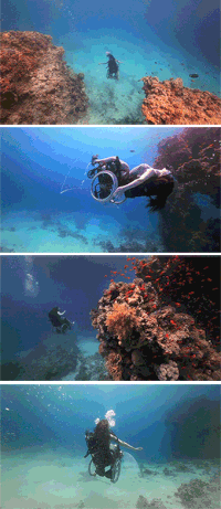 Scuba GIFs - Get the best gif on GIFER