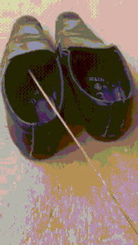 Shoes GIFs - Get the best gif on GIFER