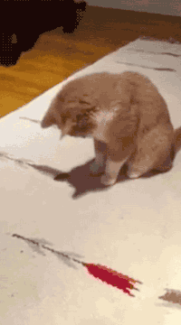 Chating GIFs - Get the best gif on GIFER