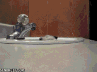 Sink GIFs - Get the best gif on GIFER