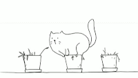 Doodles GIFs - Get the best gif on GIFER
