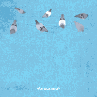 Reproductive GIFs - Get the best gif on GIFER