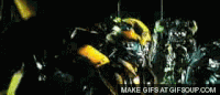 Bumblebee GIFs - Get the best gif on GIFER