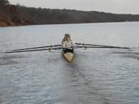 Rowing GIFs - Get the best gif on GIFER