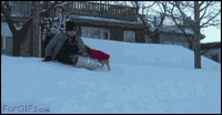 Sled GIFs - Get the best gif on GIFER