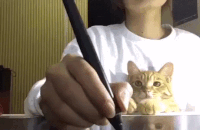 Pens GIFs - Get the best gif on GIFER