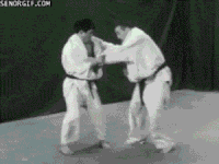 Judo Chop Gif