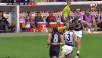 Afl GIFs - Get the best gif on GIFER