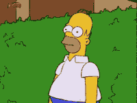 Esconder GIFs - Get the best gif on GIFER