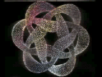 Knot GIFs - Get the best gif on GIFER