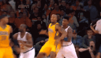 Knicks GIFs - Get the best gif on GIFER