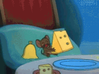 Tom GIFs - Get the best gif on GIFER