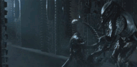 Predator GIFs - Get the best gif on GIFER