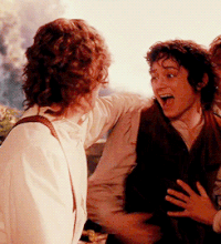 Fellowship GIFs - Get the best gif on GIFER