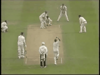 Cricket GIFs - Get the best gif on GIFER