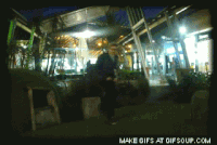 Indi GIFs - Get the best gif on GIFER