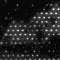 Microscopy GIFs - Get the best gif on GIFER