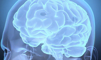 Brain development GIF - Conseguir o melhor gif em GIFER