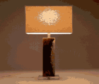 Baum GIFs - Get the best gif on GIFER