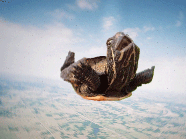 Weeeeeeeee GIFs - Get the best gif on GIFER