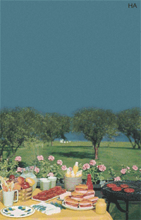 Picnic GIFs - Get the best gif on GIFER