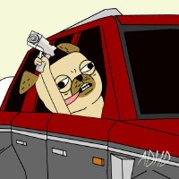 Pug GIFs - Get the best gif on GIFER