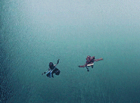 Executioner GIFs - Get the best gif on GIFER