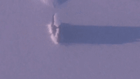 Submarine GIFs - Get the best gif on GIFER