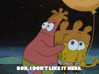 Arrgh GIFs - Get the best gif on GIFER