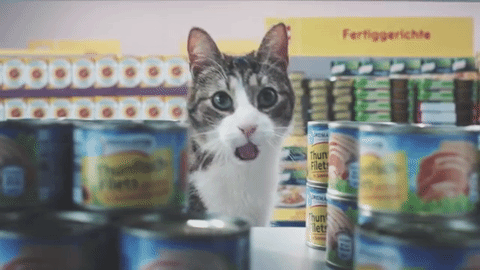 Impresionado GIF - Conseguir el mejor gif en GIFER