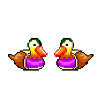 Ducks GIFs - Get the best gif on GIFER