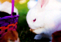 Groom GIFs - Get the best gif on GIFER