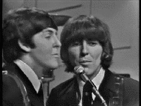 Ringo GIFs - Get the best gif on GIFER