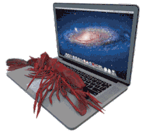 Shellfish GIF - Conseguir o melhor gif em GIFER