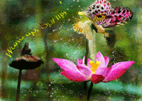 Ob GIFs - Get the best gif on GIFER
