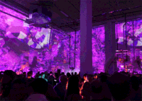 Miami beach GIFs - Get the best gif on GIFER