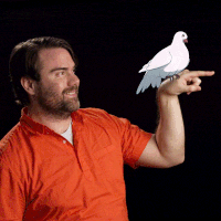 Yearbook GIFs - Get the best gif on GIFER