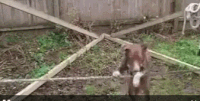 Hangin GIFs - Get the best gif on GIFER