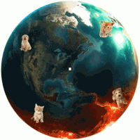 Tentative GIFs - Get the best gif on GIFER