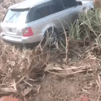 Unexpected GIFs - Get the best gif on GIFER