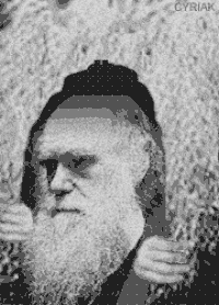 Sigmund freud GIFs - Get the best gif on GIFER