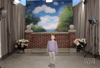 Muppet news flash GIFs - Get the best gif on GIFER