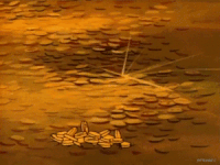 Scrooge GIFs - Get the best gif on GIFER
