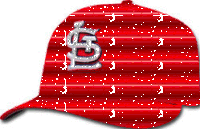 Cardinal GIFs - Get the best gif on GIFER